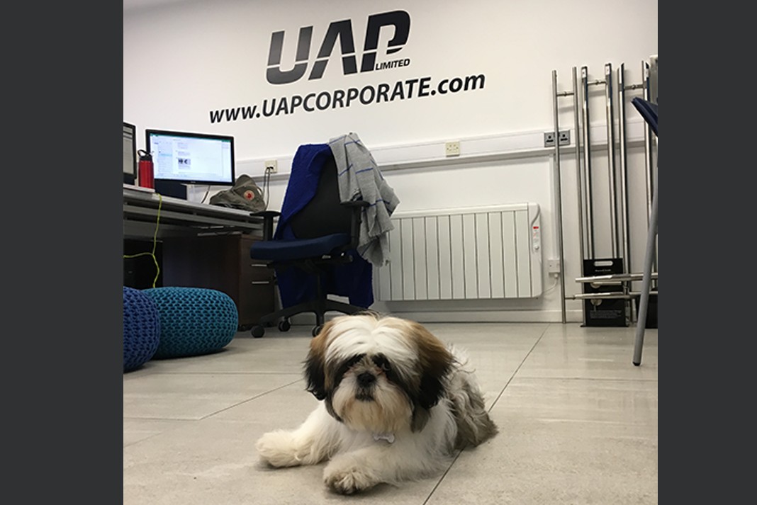 UAP dog day care | Glass & Glazing Products Magazine (GGP)